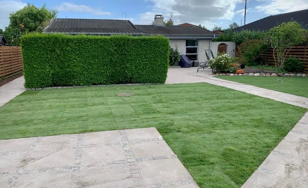 Forhave indretning med rullegræs - Få en perfekt græsplæne nu!